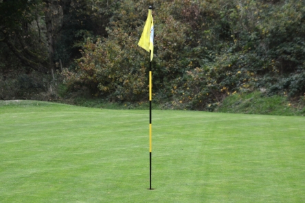 Set Of 9 Tournament Flag Sticks | Golf Flag Pins & Hole Placement Markers