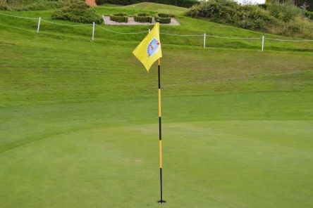 Embroidered Logo Flags | Golf Flags